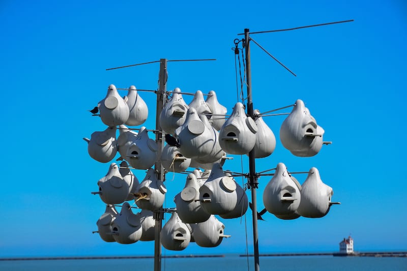 9 Types of Birdhouses (What You Should Know)